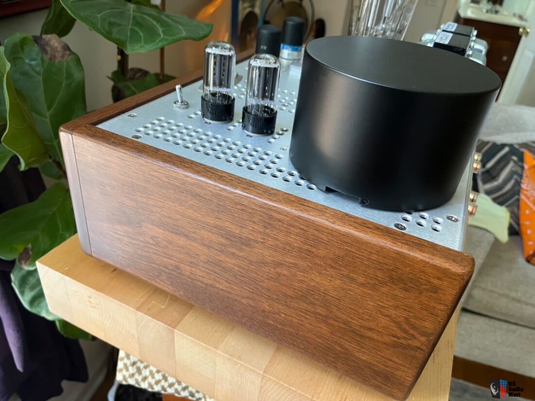 Shiny Eyes SET 45 Mesh Tube Amplifier from Radu Tara Photo #5300228 ...