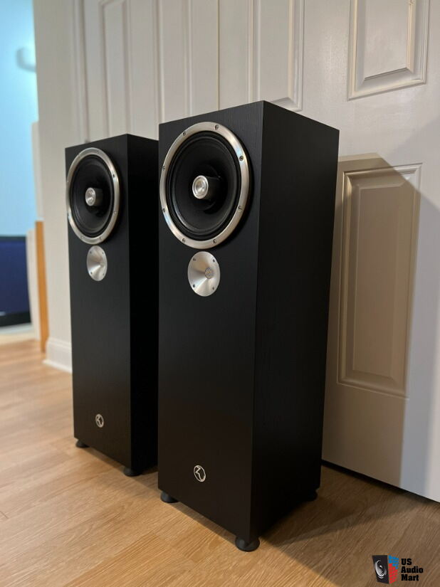 Zu Audio DW6 Superfly in Black Hickory finish, DYNAMIC and FUN Photo ...