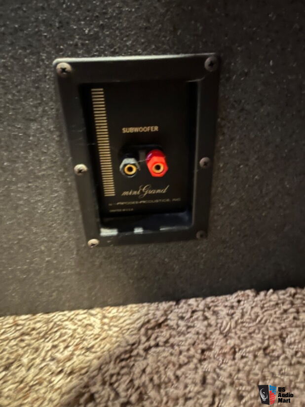 Apogee Mini-Grand Subwoofers and DAX - RARE FIND! Photo #5303897 - US ...