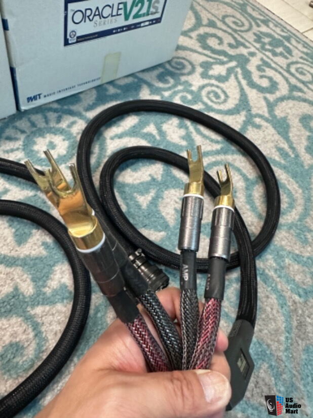 MIT Oracle V 2.1 S 8' Bi - Wired speaker cables Photo #5313252 - US ...