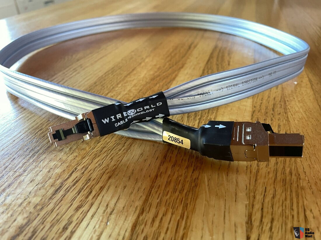 PRICE REDUCED Wireworld Platinum Starlight 8 Twinax Ethernet Cable - 1m ...