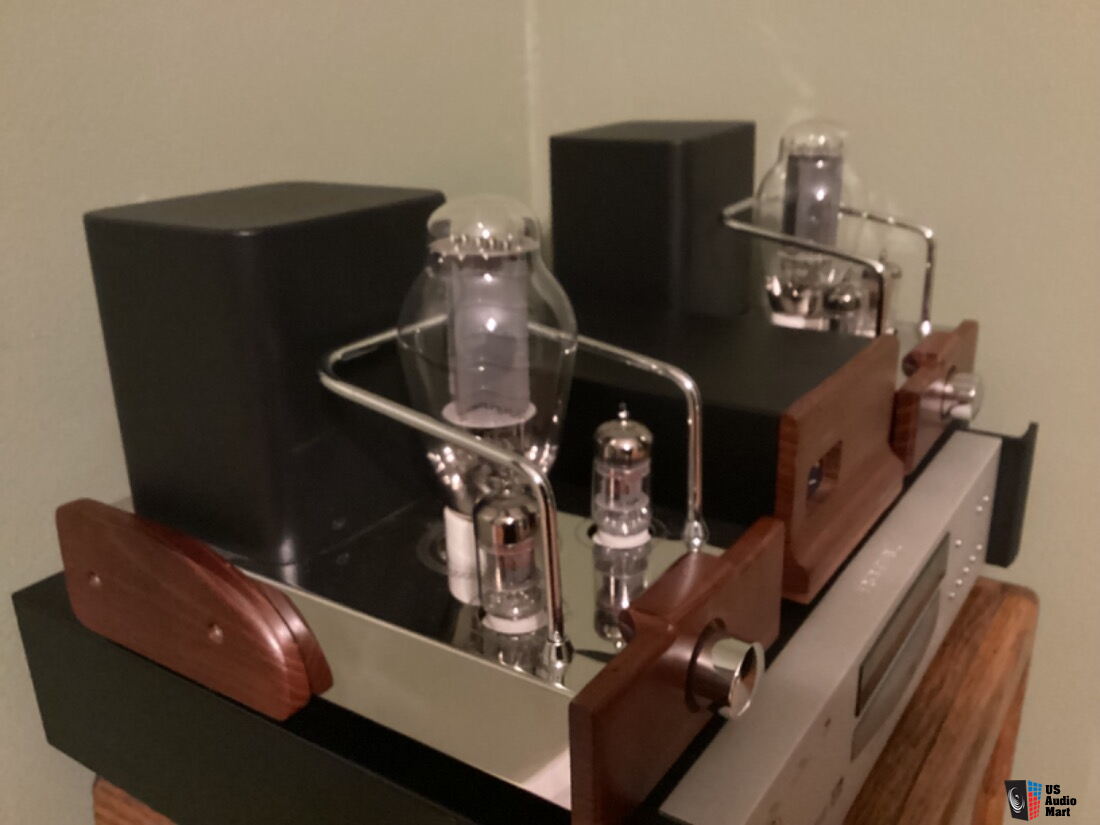 300B mono block amp's Photo #5322714 - US Audio Mart