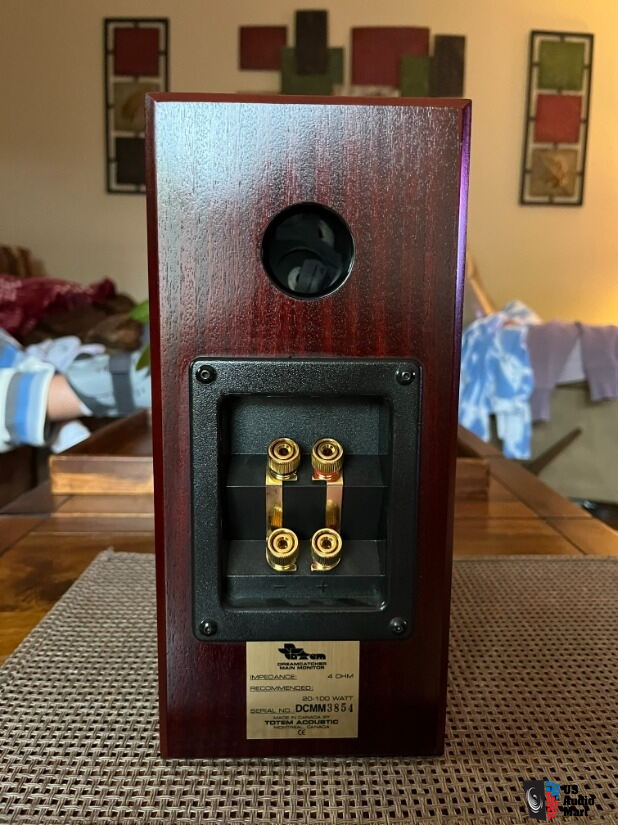Totem Acoustic Dreamcatcher Speakers "The Giant Killers Photo #5326014 ...