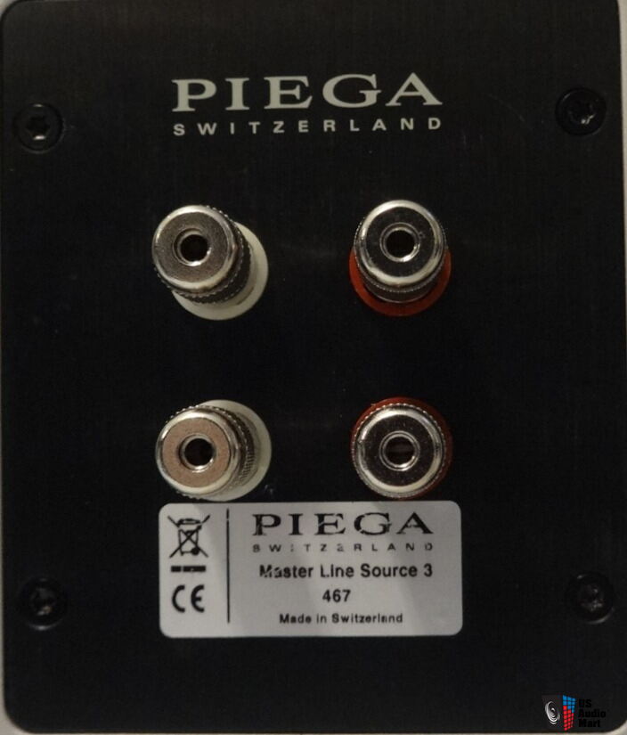 Piega MLSIII Photo #5327857 - US Audio Mart