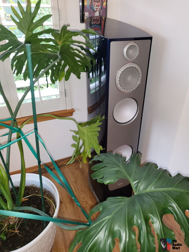 Paradigm Persona 7F Speakers NO FLAWS Like New! Moving