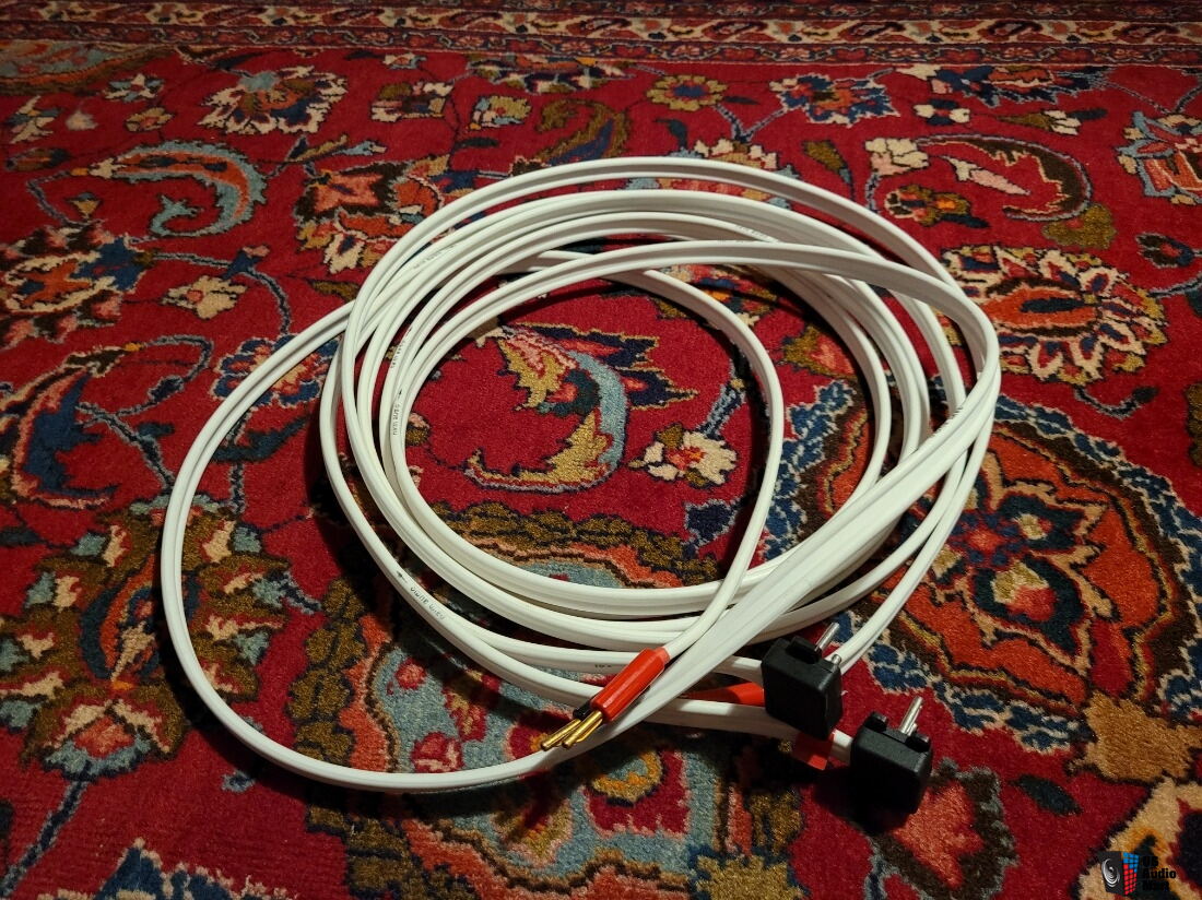 Naim Audio Speaker Cable NAC5 - 10ft pair Photo #5331690 - US Audio Mart