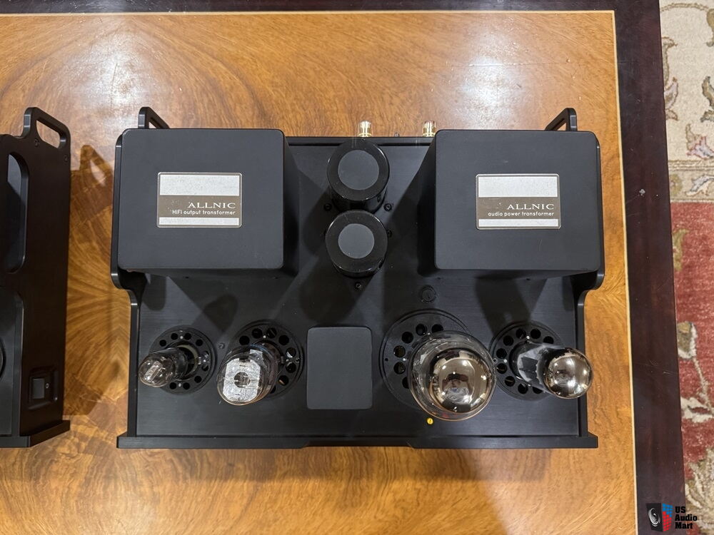 Allnic A-5000 DHT mono's Photo #5333940 - US Audio Mart