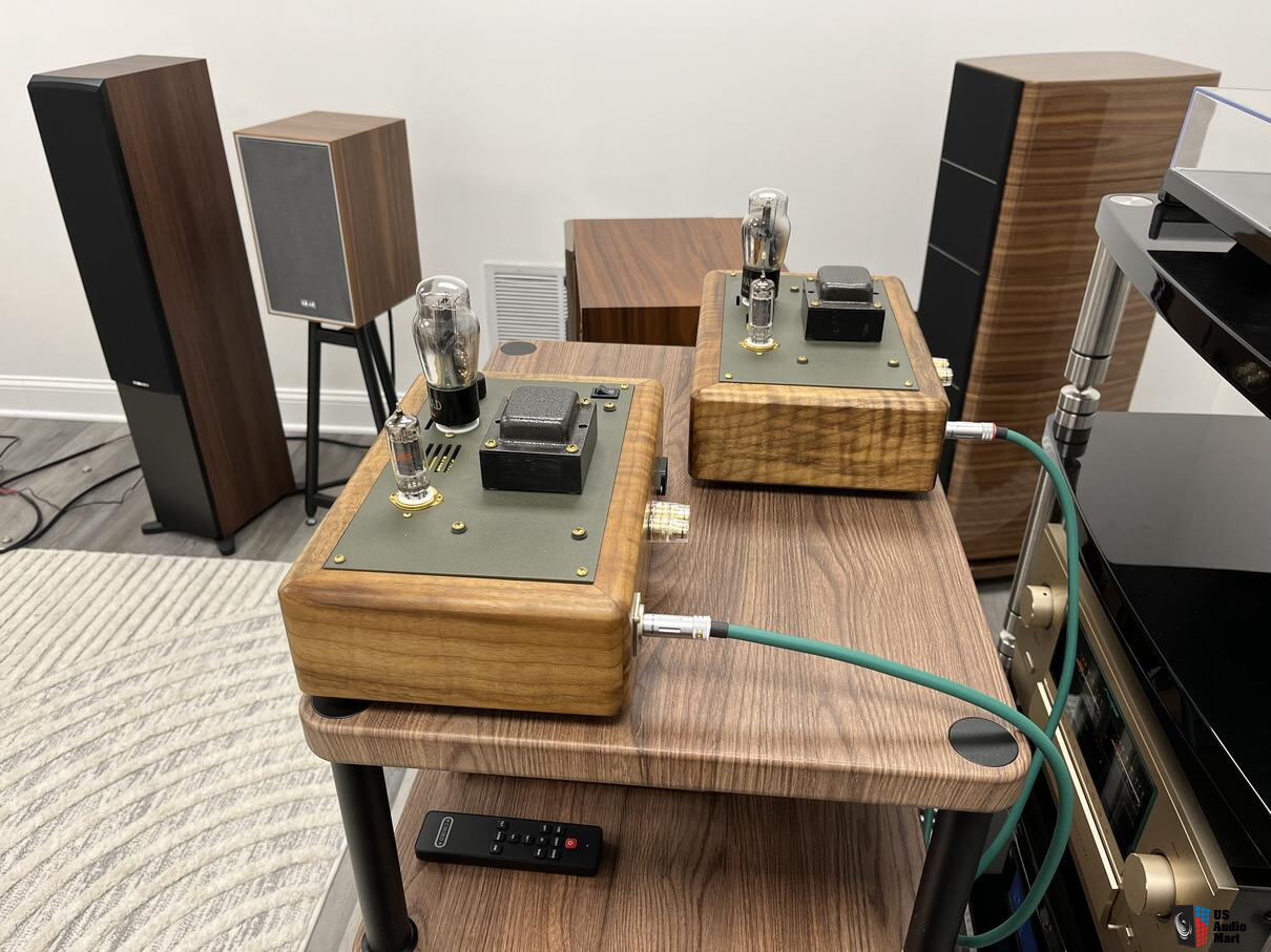 Custom SR-45 Tube Amplifier built by Paul Birkeland Photo #5335079 - US ...