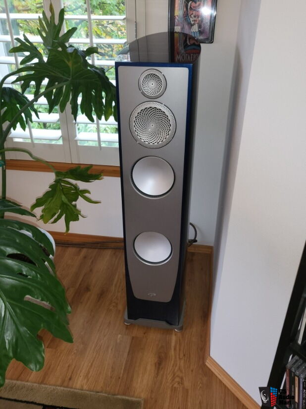 Paradigm Persona 7F Speakers NO FLAWS Like New! Moving