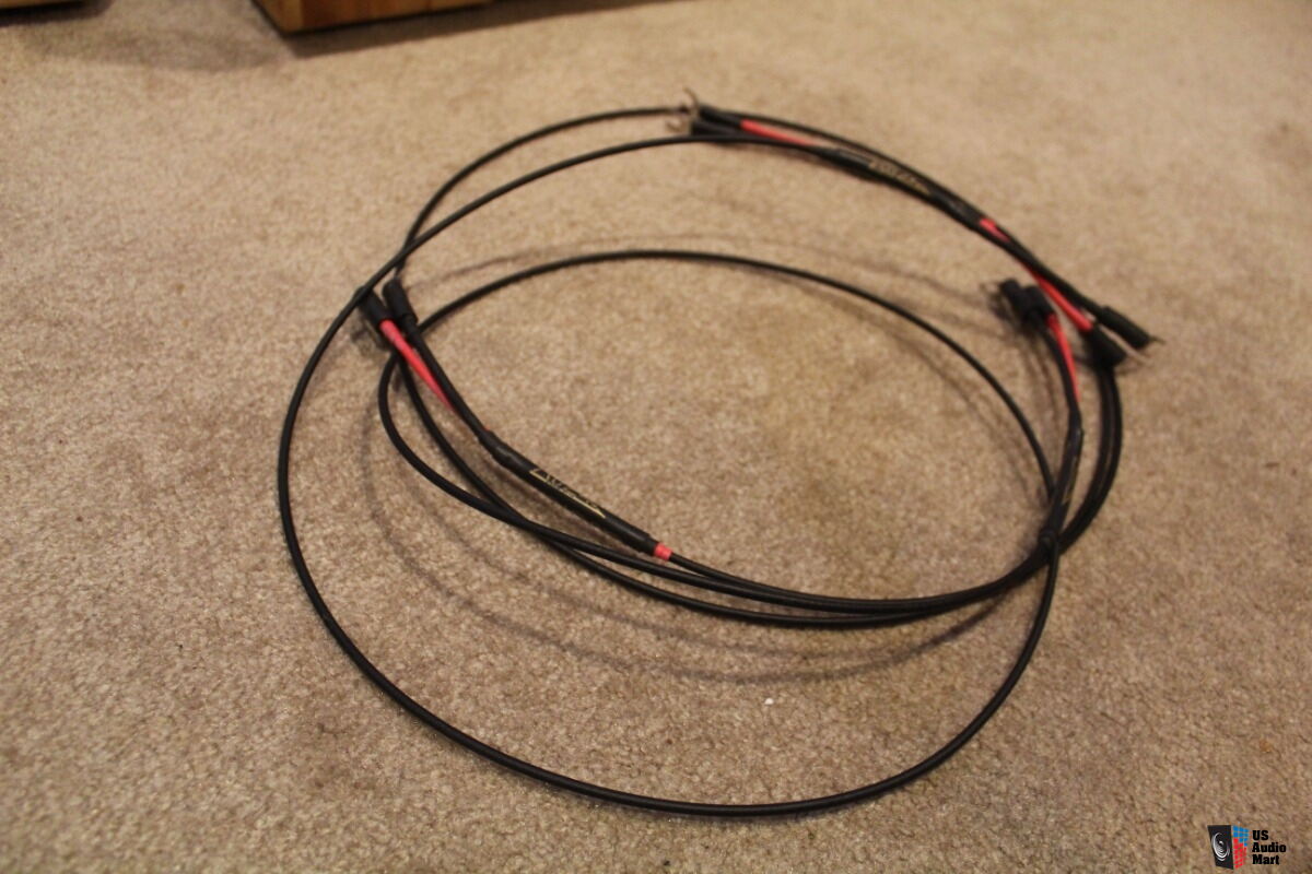 Audience AU24 speaker cables Photo #5339914 - US Audio Mart
