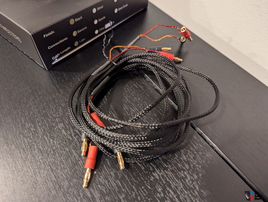 Townshend Audio Maximum Supertweeters Satin Black