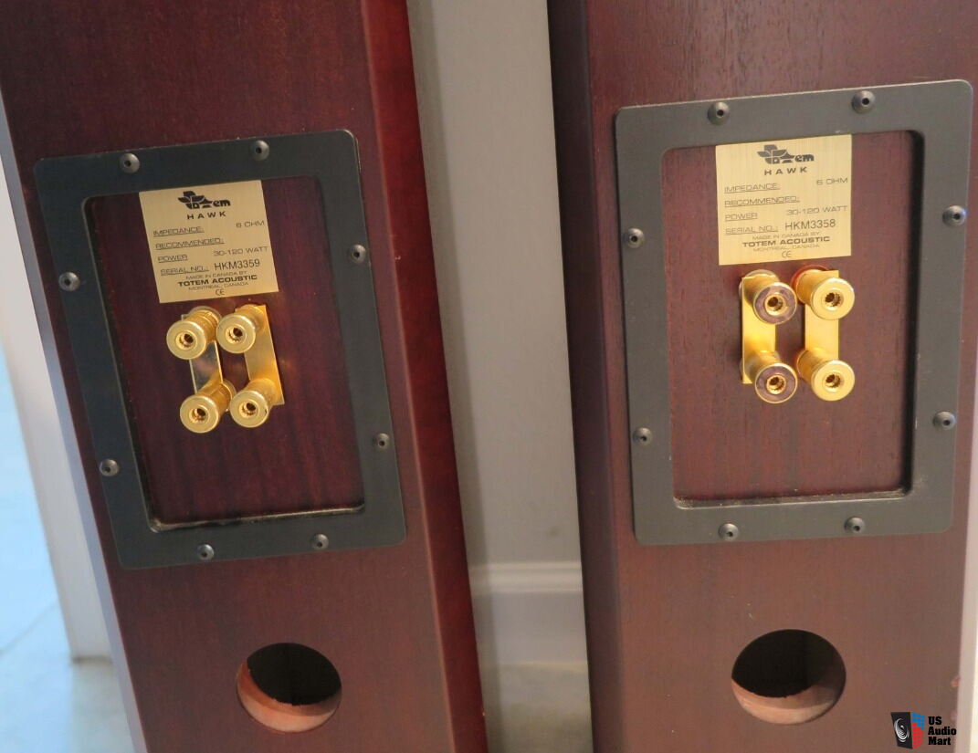 Totem Acoustics Hawk Floorstanding Speakers Photo #5348053 - Canuck ...