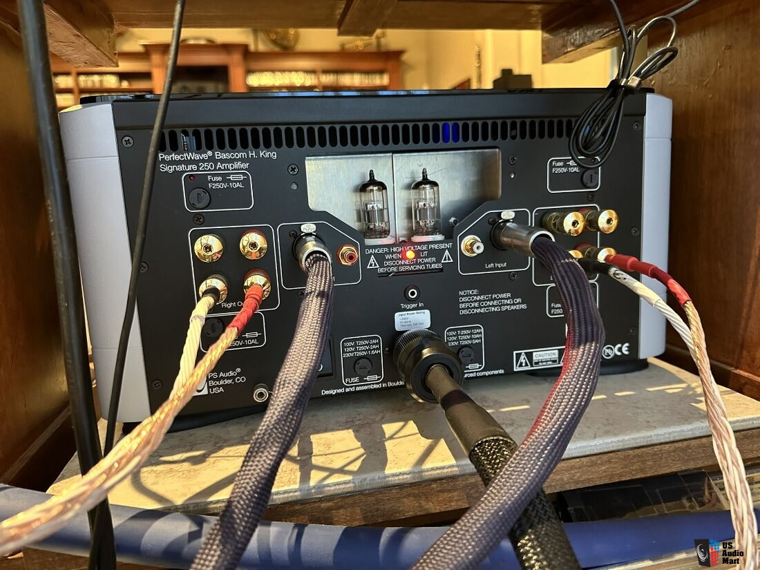BHK Signature 250 Hybrid Stereo Amplifier Photo #5349416 - US Audio Mart