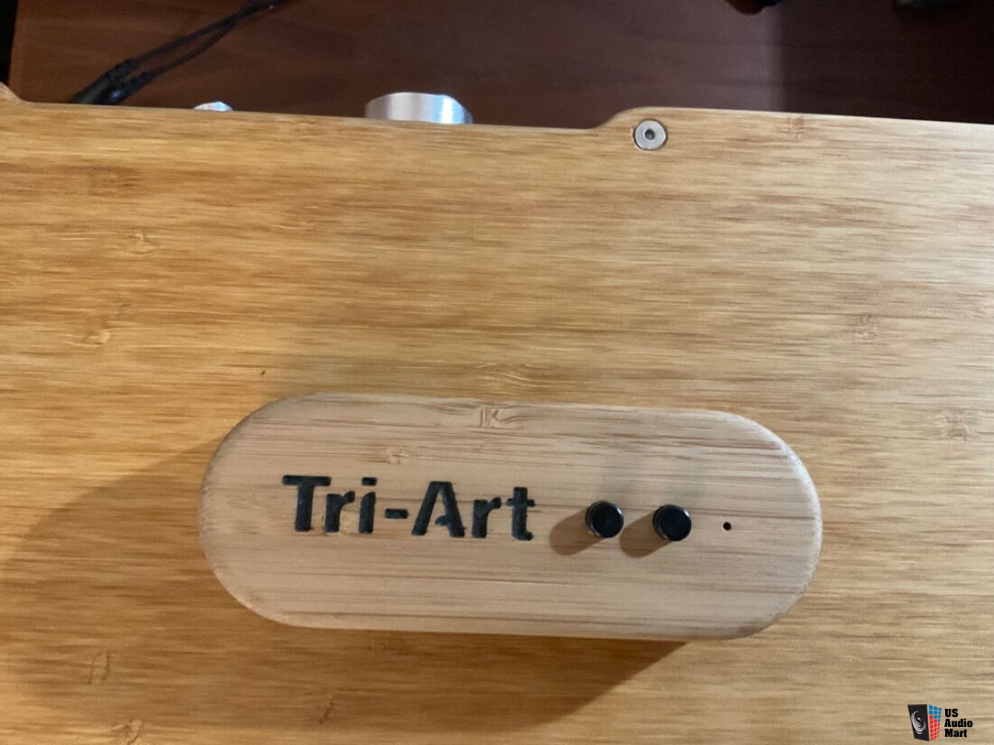 TRI-ART AUDIO Integrated Amp