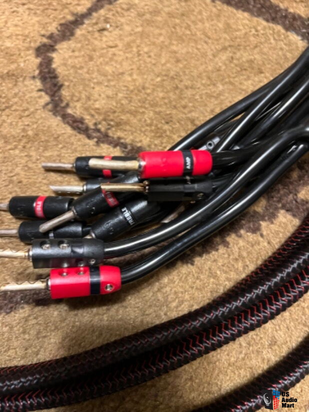 Audioquest rocket 33 2pair 6ft Photo #5358103 - US Audio Mart