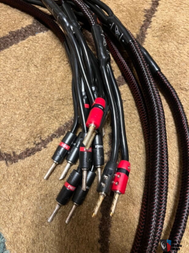 Audioquest rocket 33 2pair 6ft Photo #5358103 - US Audio Mart