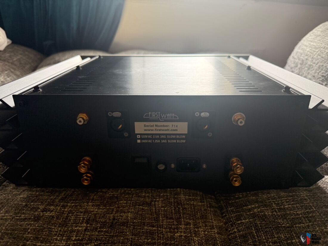 First watt J2 Pass Labs Nelson Hand Built