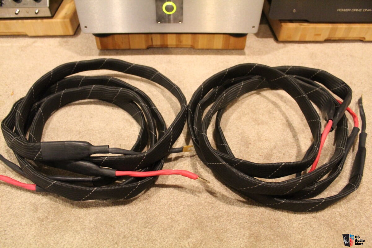 Pure Silver Connection PSC R70V Speaker Cables. Exceptional Photo ...