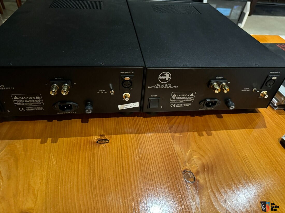 Rogue DragoN Hybrid Monoblocks Photo #5375065 - US Audio Mart