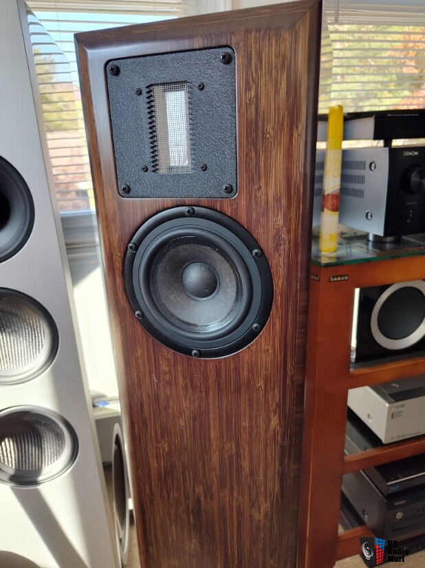 Salk Songbird Raal Tweeters Custom Bamboo Walnut 4800.00 Relisted 12/8 ...