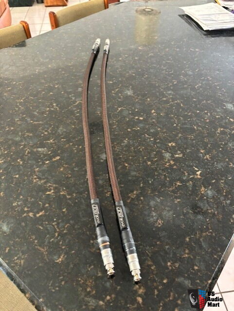 Evolution Acoustic BNC LINK interconnect For Sale - US Audio Mart