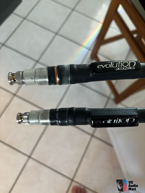 Evolution Acoustic BNC LINK interconnect