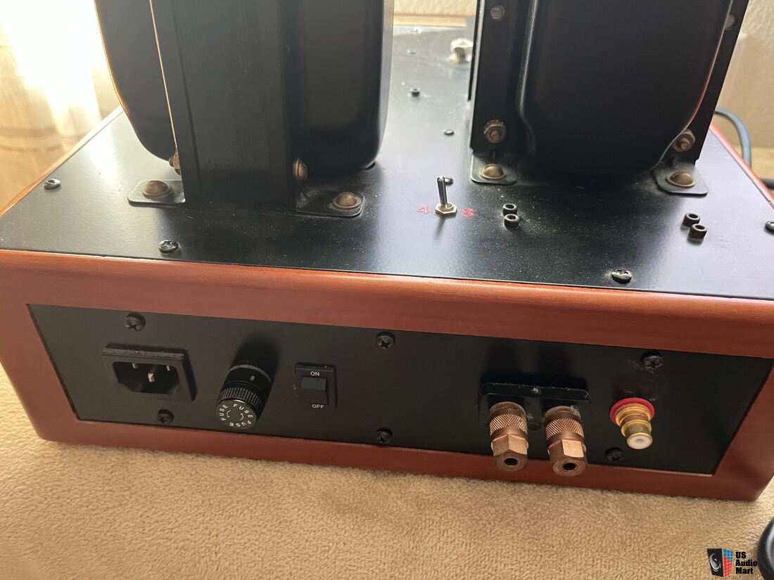 Wavelength Cardinal Mono amps, 300B Photo #5393452 - US Audio Mart
