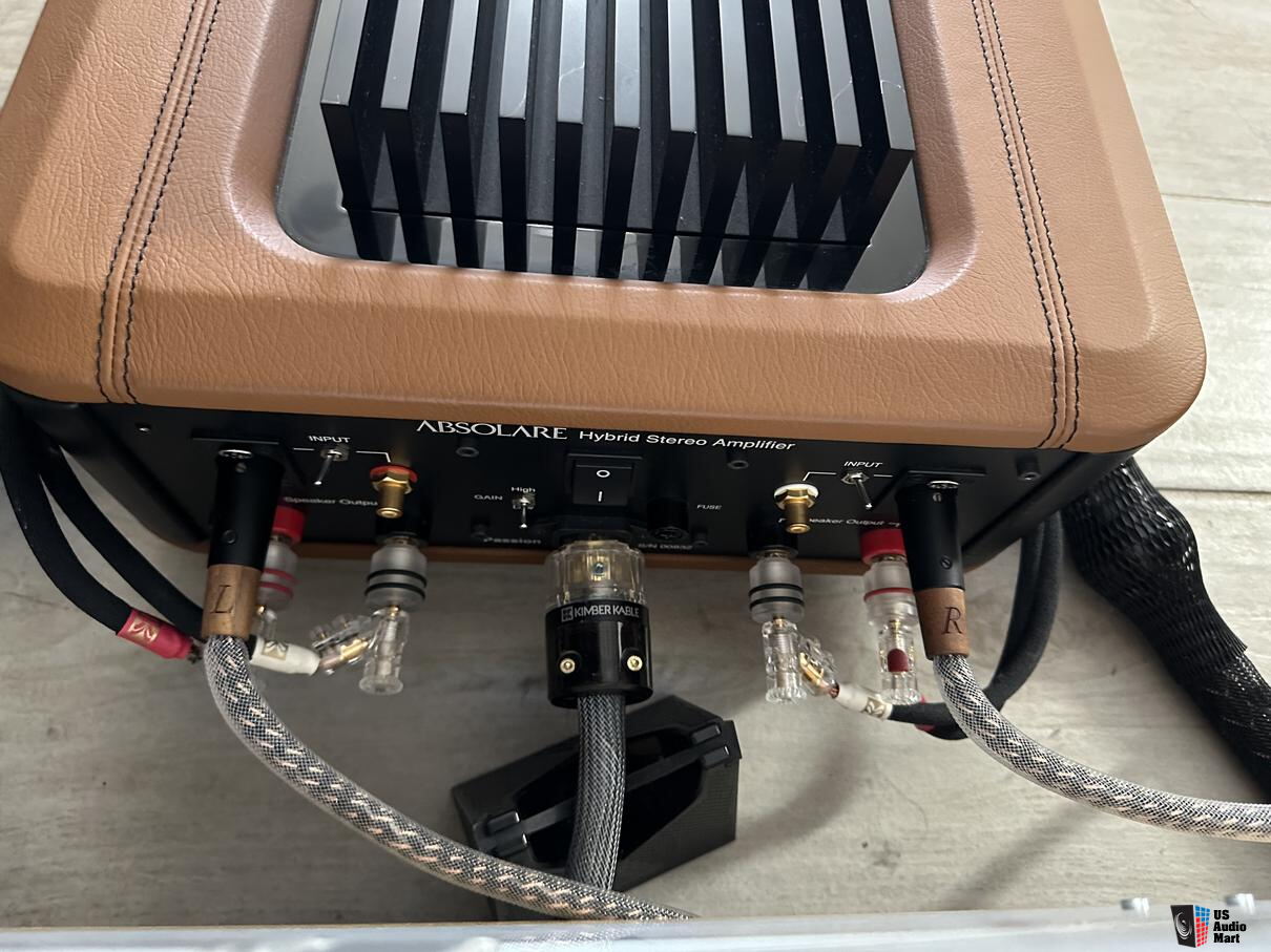 Absolare Hybrid Stereo Power Amplifier Photo #5394637 - US Audio Mart