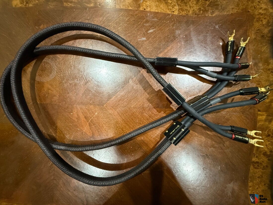 Clarus Cables Crimson Speaker Cables / 5 Feet Pair / Spade Photo ...