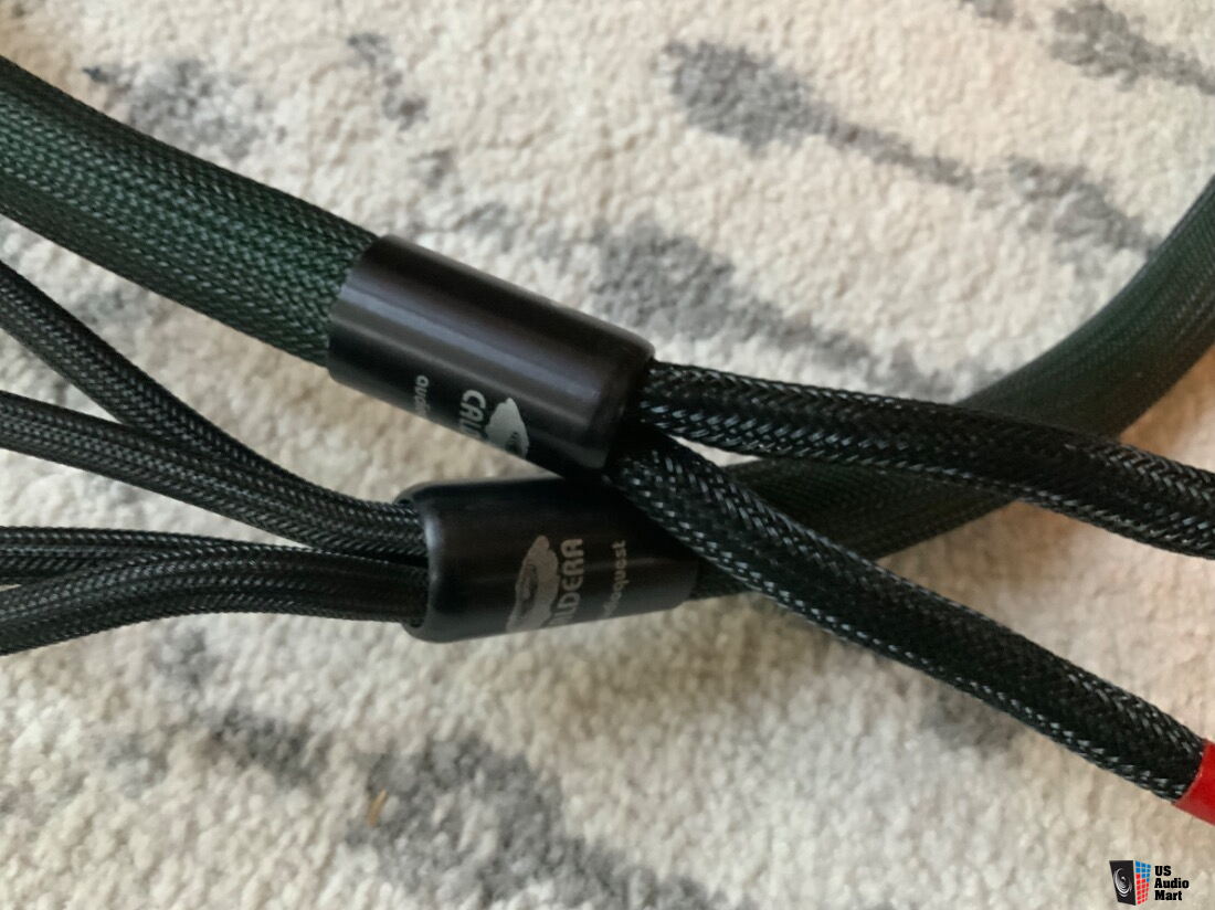 Audioquest CALDERA Bi-Wire speaker cable Top of the Line Price Drop ...