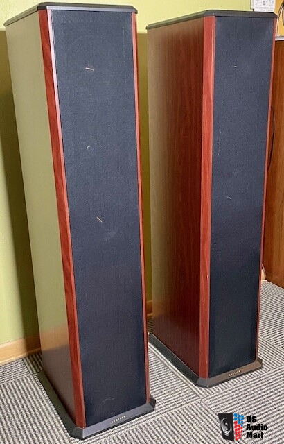 Duntech Statesman C1000 floor standing speakers - Local pickup near ...