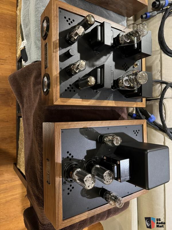 Aric Audio Super 300B SET with Lots of Upgrades Photo #5414765 - US ...