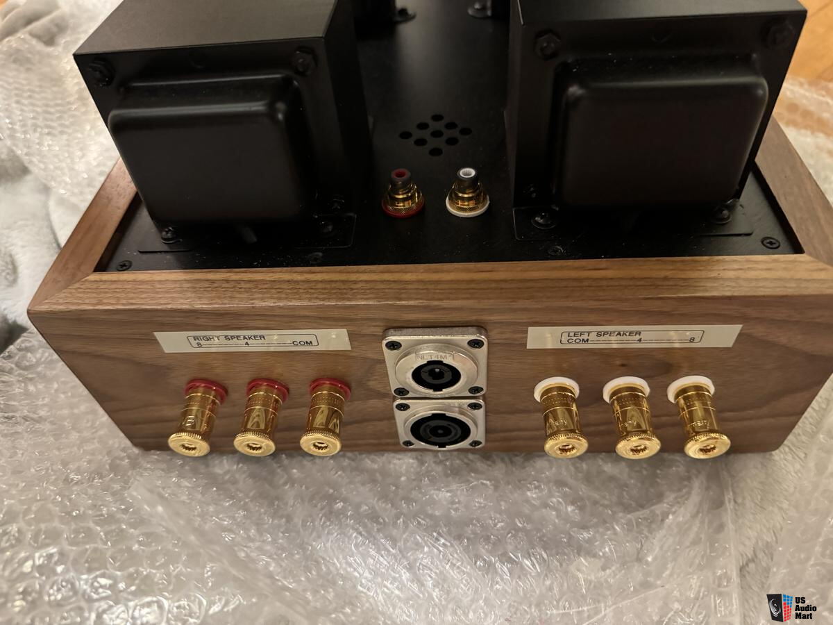 Aric Audio Super 300B SET with Lots of Upgrades Photo #5414767 - US ...