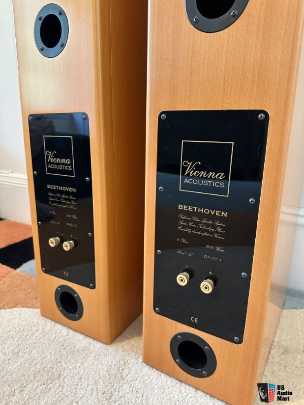 Vienna Acoustics Beethoven Photo #5416167 - US Audio Mart