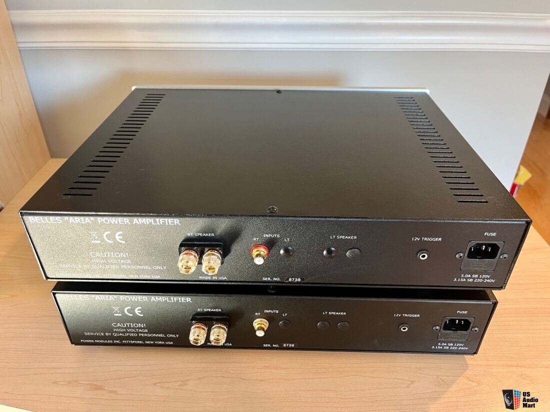 Belles Aria Monoblock Amplifiers (pair) Photo #5416834 - US Audio Mart