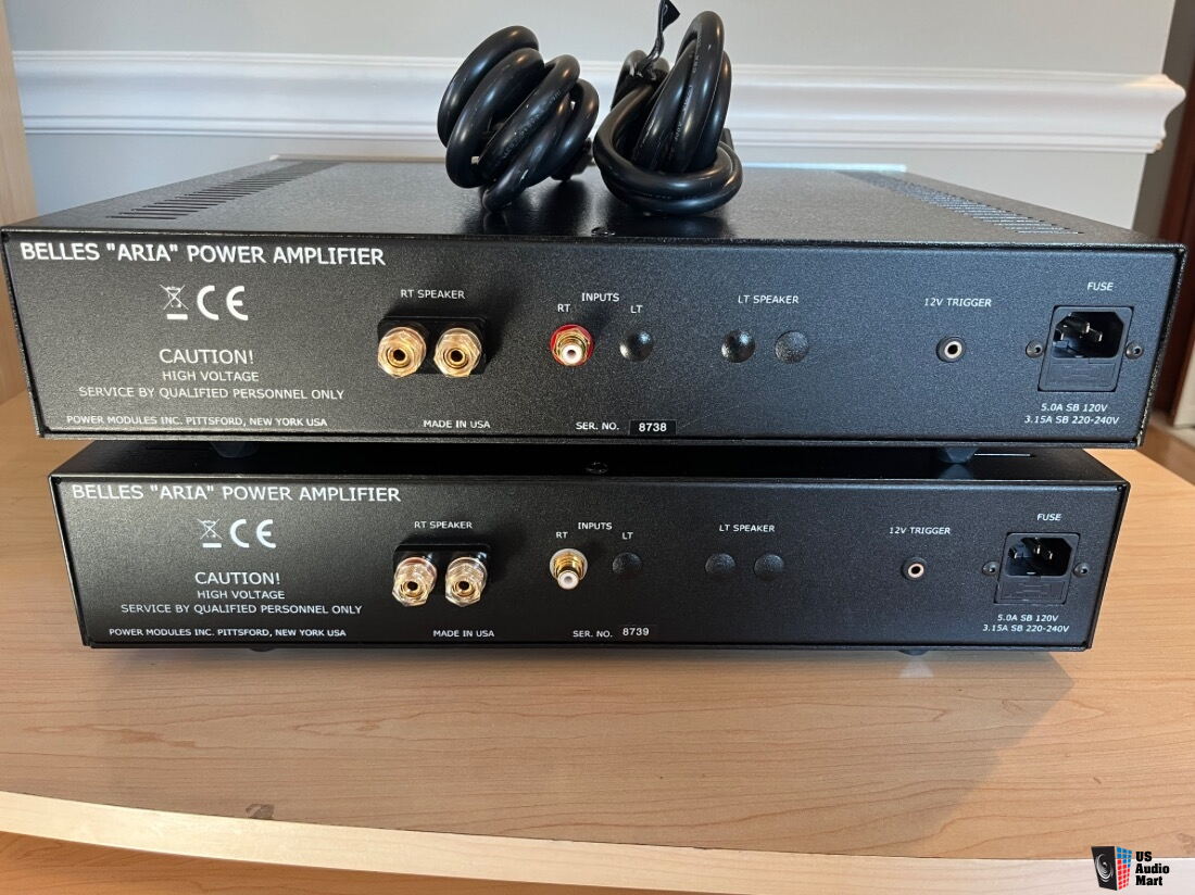 Belles Aria Monoblock Amplifiers (pair) Photo #5416835 - US Audio Mart