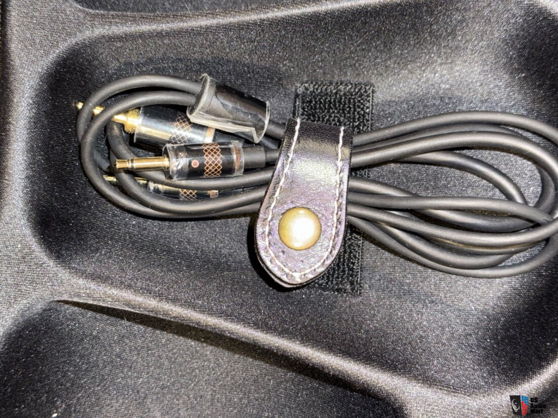 Focal Radiance Closed Back Ltd. Bentley Edition Photo #5417759 - US ...