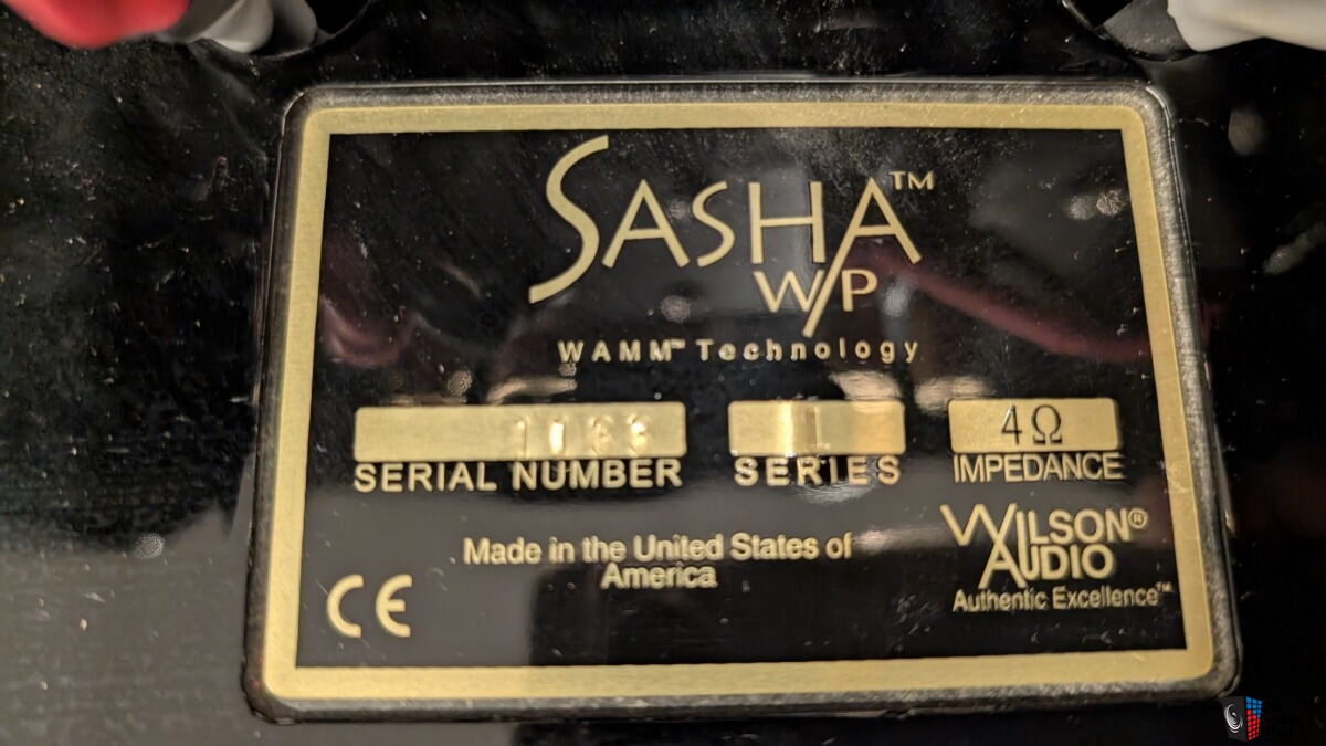 Wilson Audio Sasha Gen 1 Watt/Puppy Black Photo #5420789 - US Audio Mart