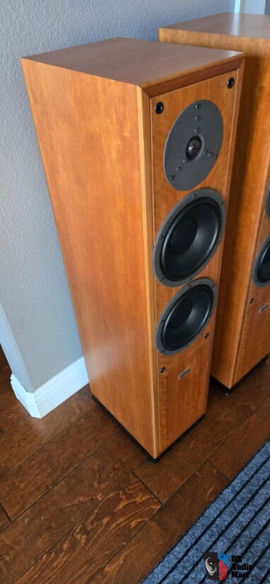 Dynaudio Contour 2.8 Cherrry Photo #5427325 - US Audio Mart