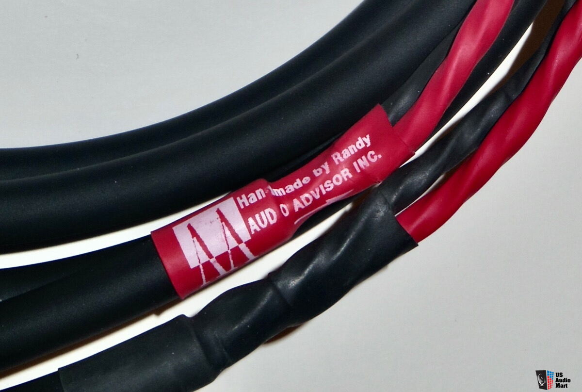 Premium Audio Cables in Like New Condition Photo #5432399 - US Audio Mart