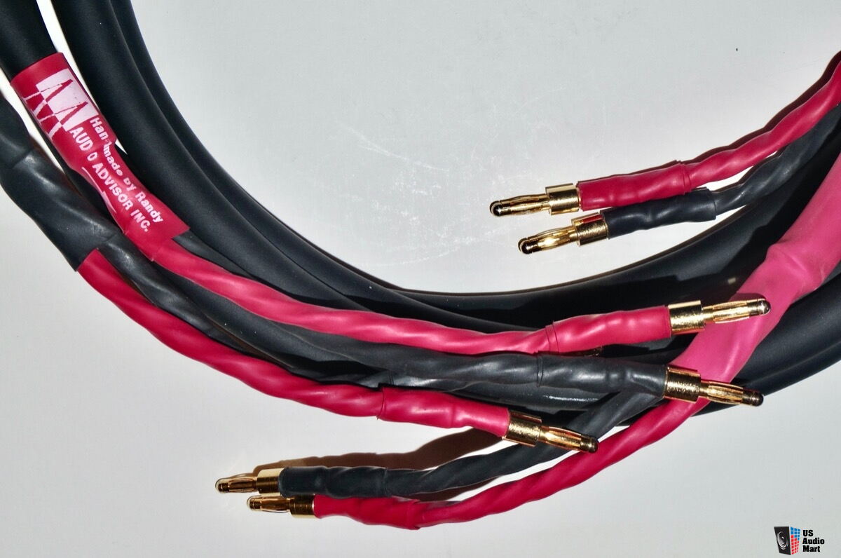Premium Audio Cables in Like New Condition Photo #5432399 - US Audio Mart