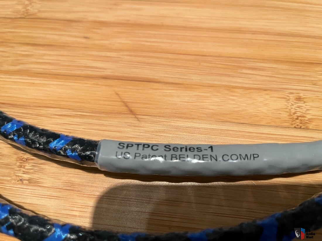 Iconoclast SPTPC Series 1 speaker cables - 6 feet Photo #5442921 - US ...