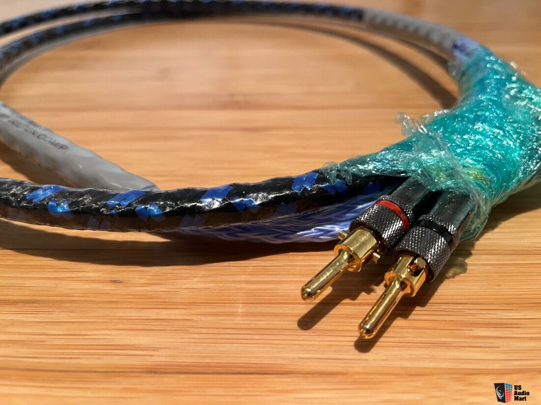 Iconoclast SPTPC Series 1 speaker cables - 6 feet Photo #5442923 - US ...