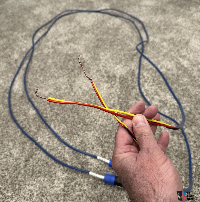 REL Acoustics Bassline Blue Cable Photo #5460253 - US Audio Mart
