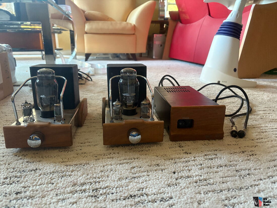 Dared VP300b Quasi 300b Monoblocks - Rare Photo #5454463 - Canuck Audio ...