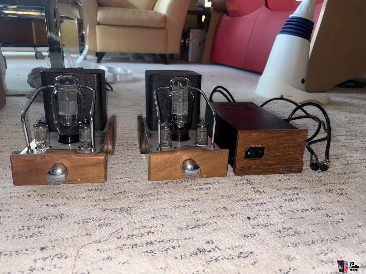 Dared VP300b Quasi 300b Monoblocks - Rare Photo #5454465 - Canuck Audio ...