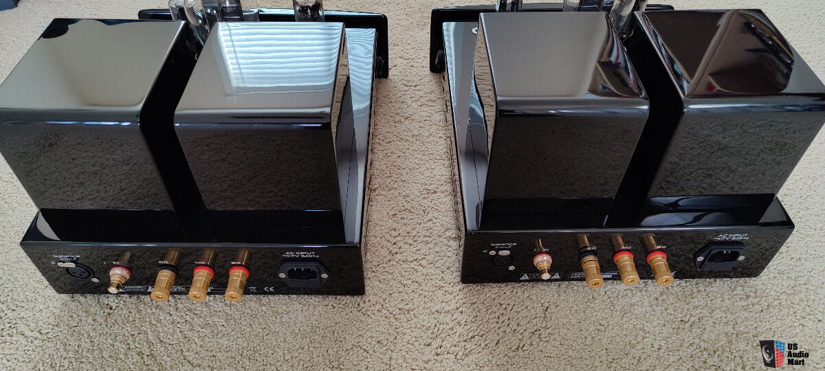 Melody Mono Block 300B in like new conditions Photo #5463384 - US Audio ...