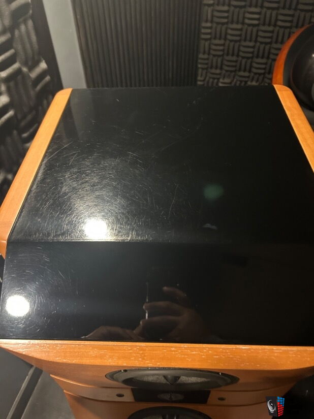 Focal Jm Lab and Rel Subwoofer N31 Photo #5470144 - US Audio Mart