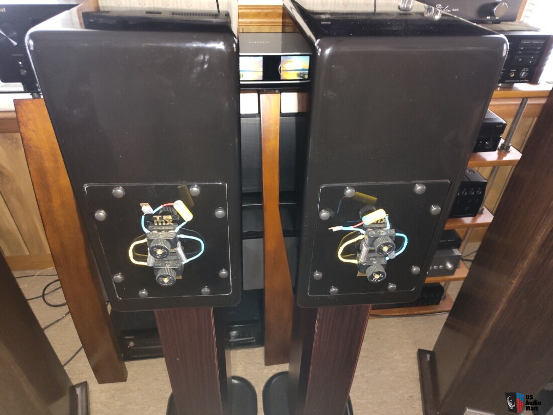 Merlin TSMX monitors w/Upgraded High gloss finish. 3800.00 new Photo ...