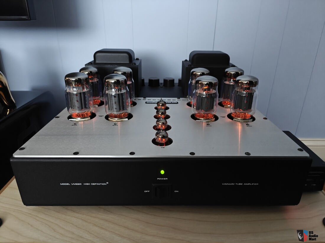 Audio Research VM220 Monoblocks Photo #5473207 - US Audio Mart